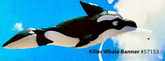6' Killer Whale - Banner – Picture Pretty Kites