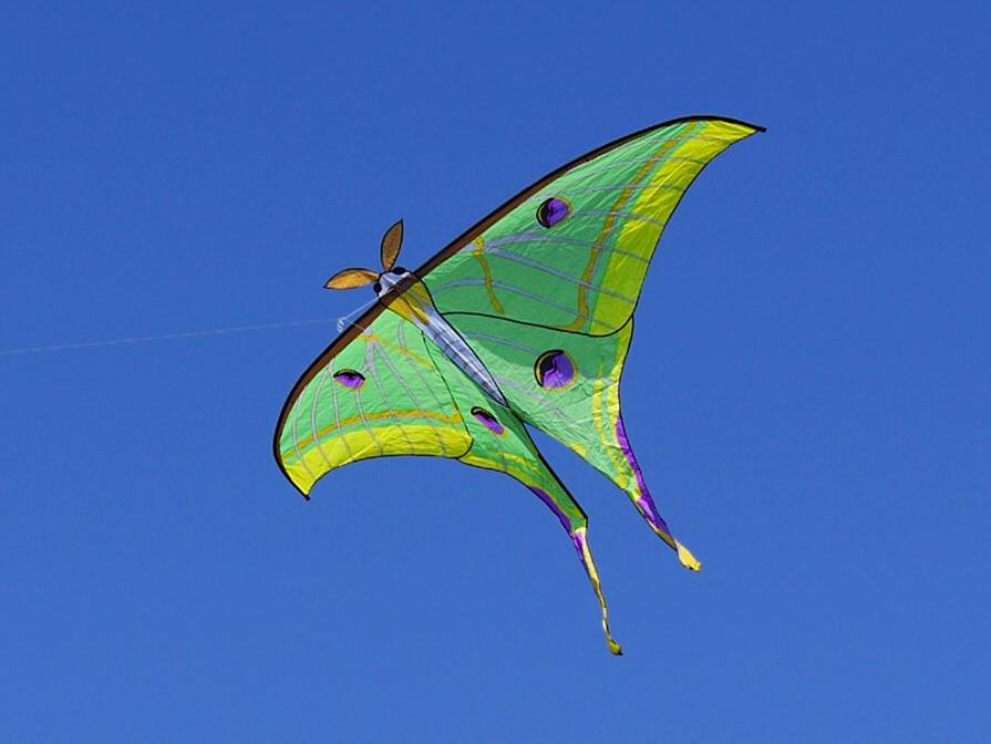 Luna Moth – Picture Pretty Kites