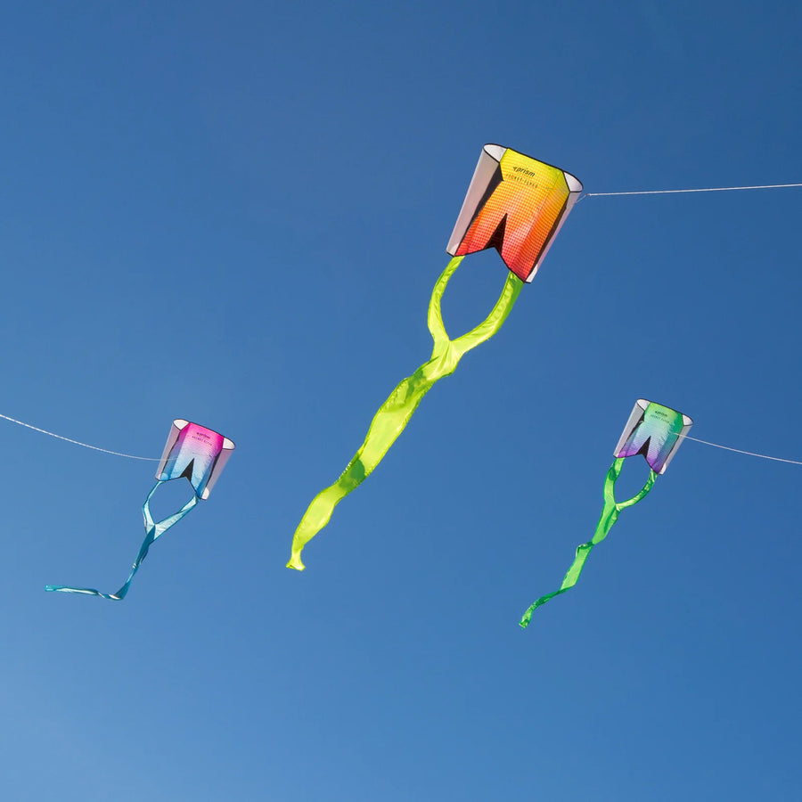 Picture Pretty Kites