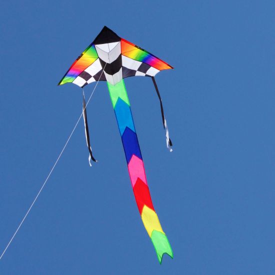 Champion Delta – Picture Pretty Kites