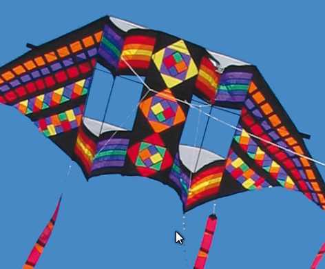 Swept Wing Double Box Delta – Picture Pretty Kites